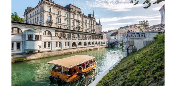 Piknik članov SLZ 2022 - SLZ.si