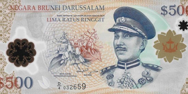 Banknotes - Polymer Banknotes